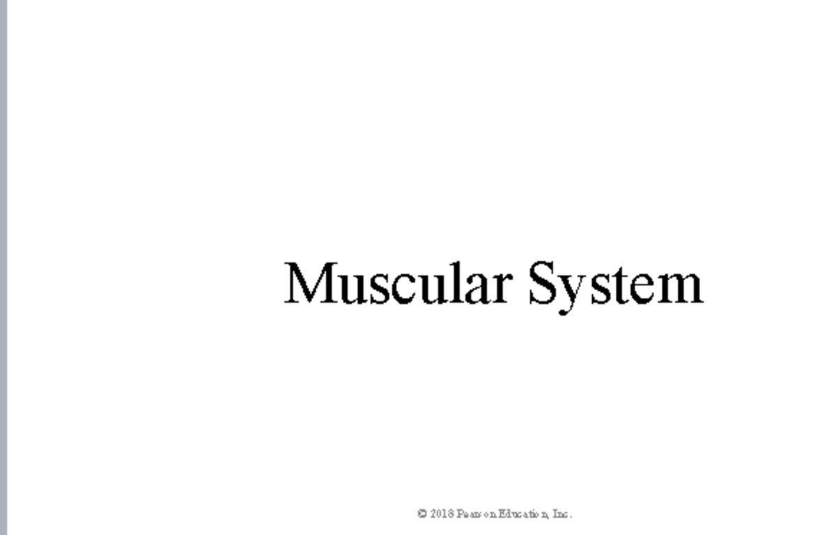 Functional Human Anatomy muscles - Muscular System Introduction There ...
