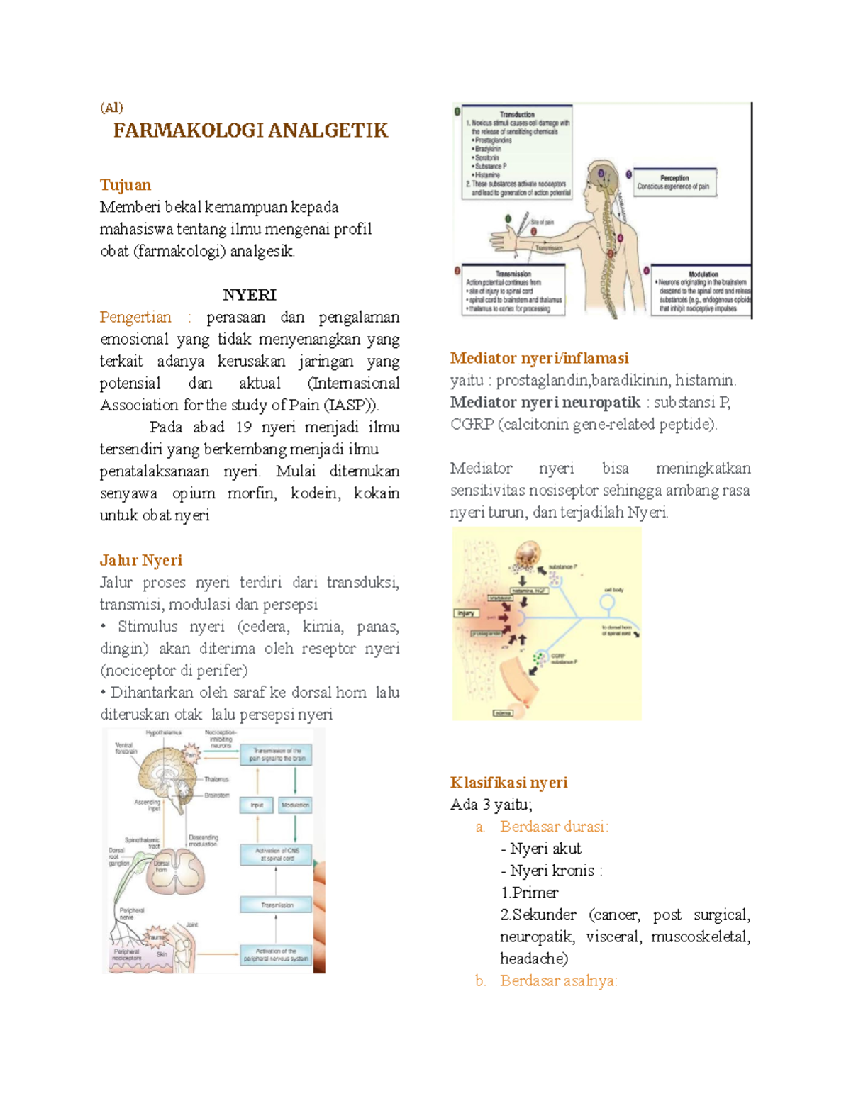 P10 Analgesik-1-2 - Rangkuman kuliah farkologi - (Al) FARMAKOLOGI ...