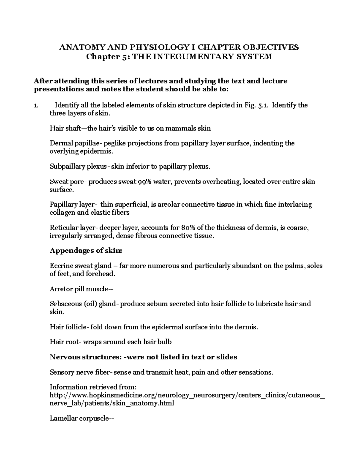 CH 05 Objectives - THE Integumentary System - ANATOMY AND PHYSIOLOGY I ...