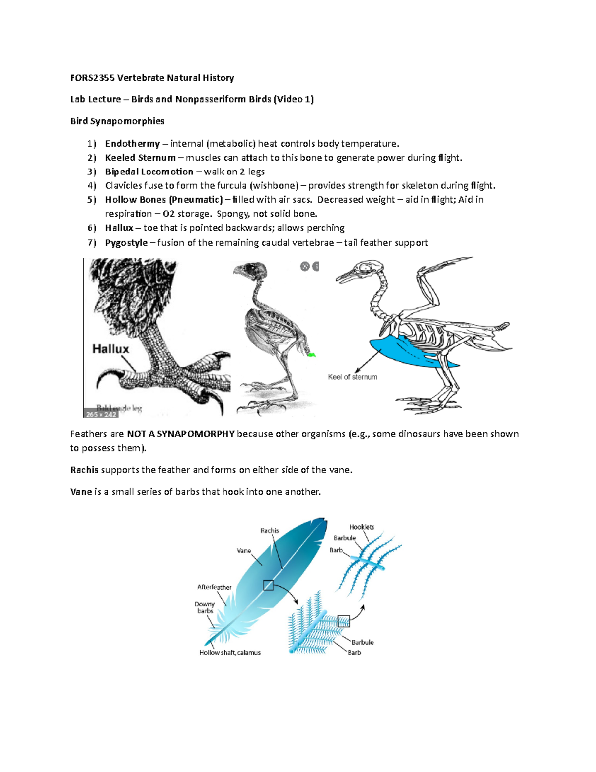 FORS2355 Birds Videos 1-2 Notes - FORS2355 Vertebrate Natural History ...