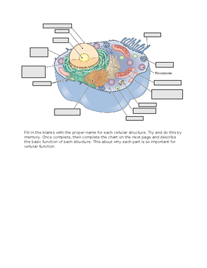 Comparative Study of Innate and Adaptive Immunity: Key Concepts ...