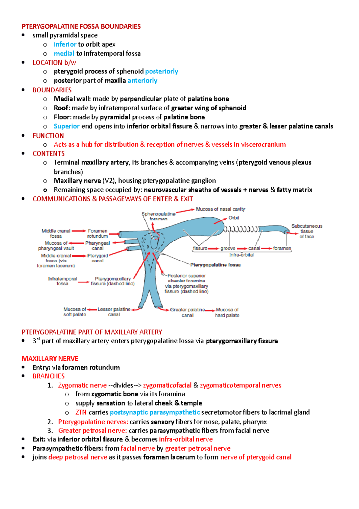 Head - Anatomy2 - PTERYGOPALATINE FOSSA BOUNDARIES small pyramidal ...