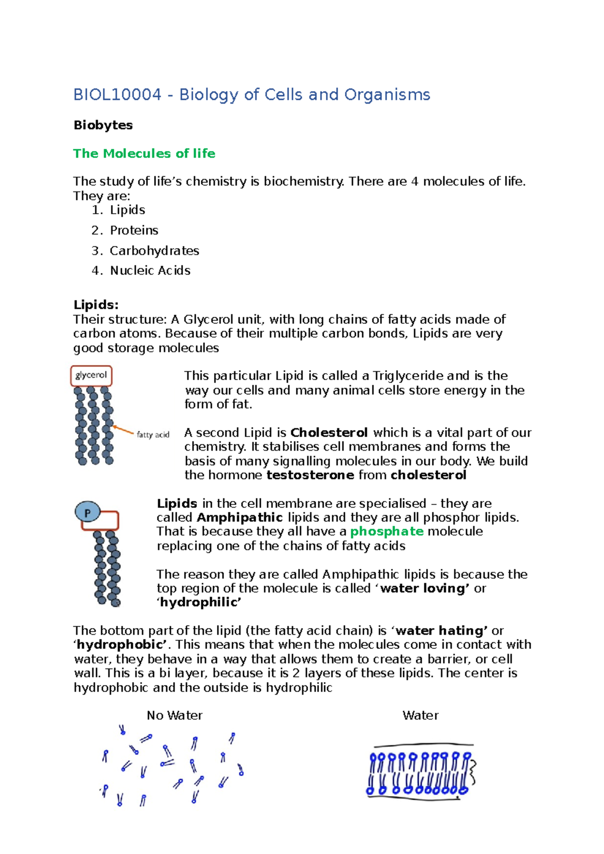 BIOL10004 - Biology of Cells and Organisms - Biobyte series - BIOL10004 ...