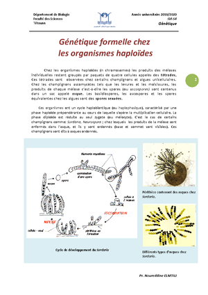 Aplasi-médullaire-4 - Genetique - génétique - Studocu