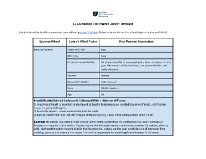 CJ 140 Module Six Assignment Template - An example has been provided ...