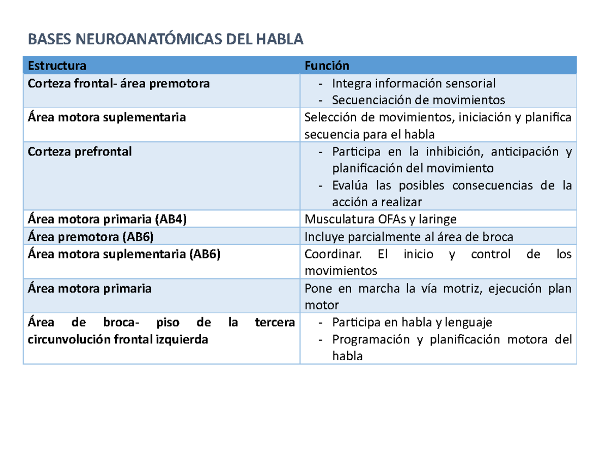 Bases Neuroanatómicas DEL Habla - BASES NEUROANATÓMICAS DEL HABLA ...