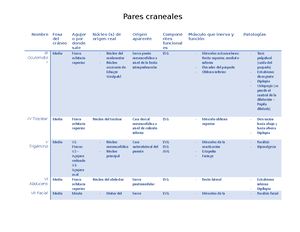 Modelos médico - paciente - Modelo Paternalista. Modelo Informativo ...