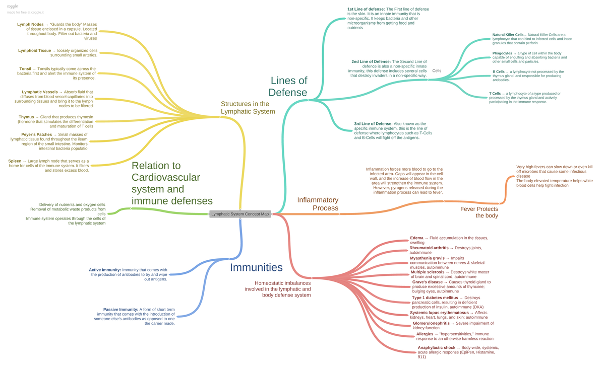 Lymphatic System Concept Map - Lymphatic System Concept Map Immunities ...