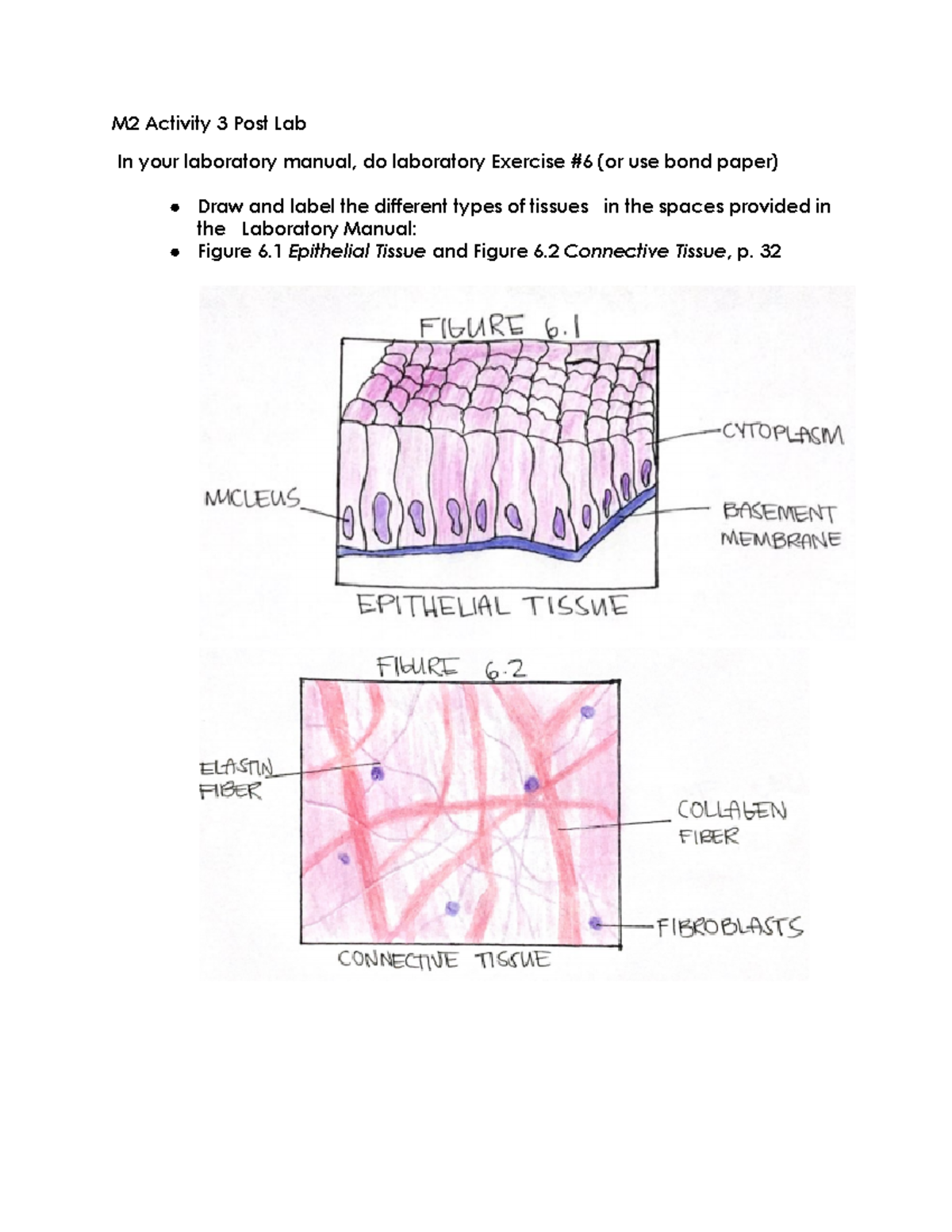 M2 Activity 3 Post Lab - Lecture notes 2 - M2 Activity 3 Post Lab ** In ...