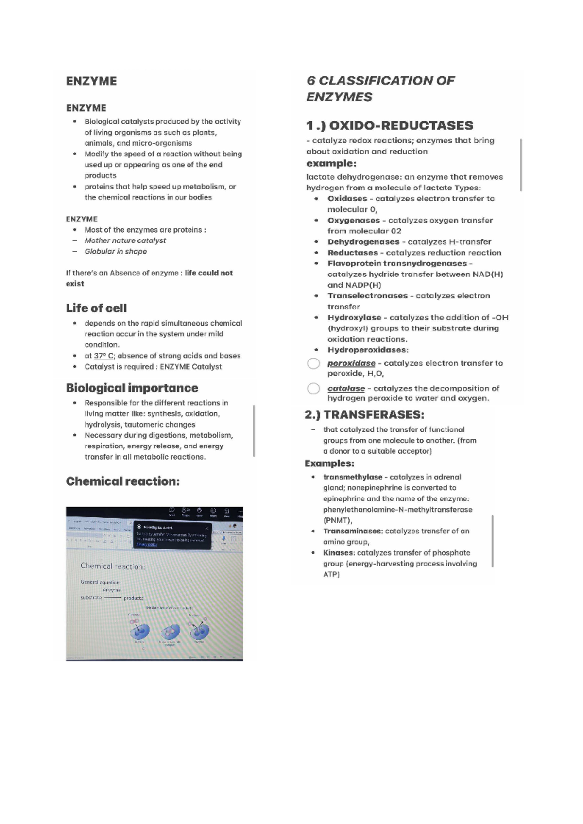 Enzyme - biochemistry - Studocu
