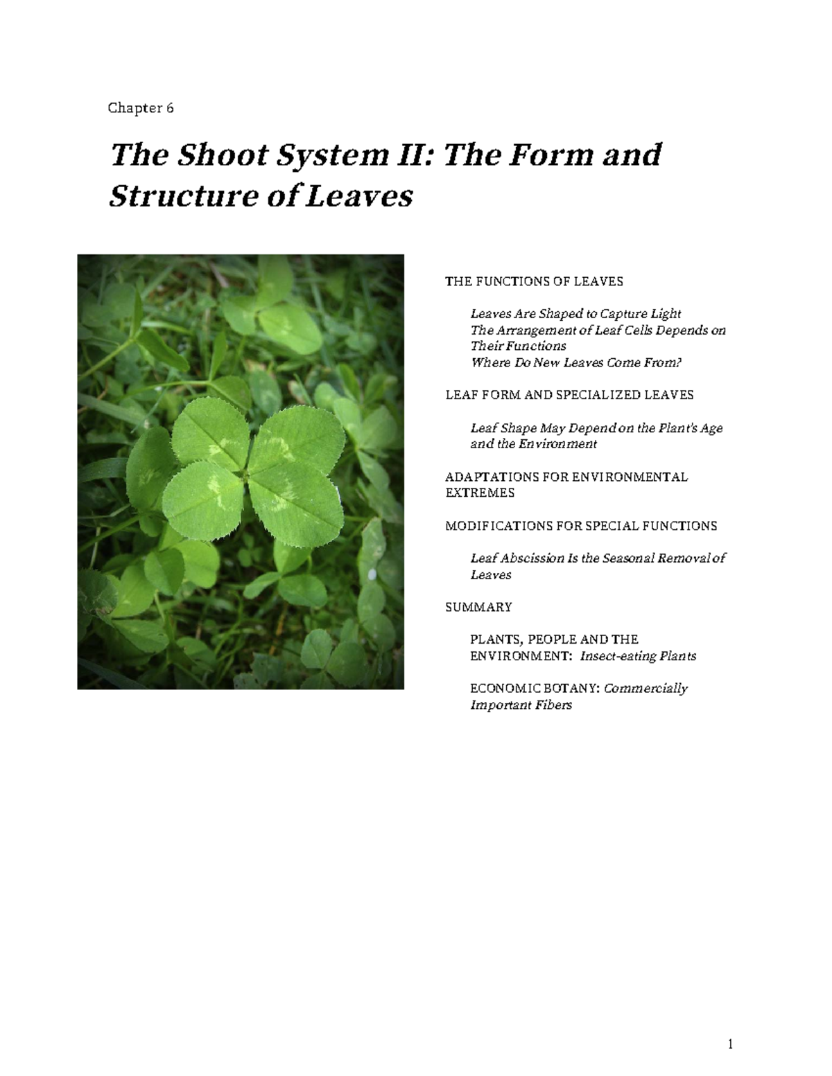 Chapter 6nf - Chapter 6 The Shoot System II: The Form and Structure of ...