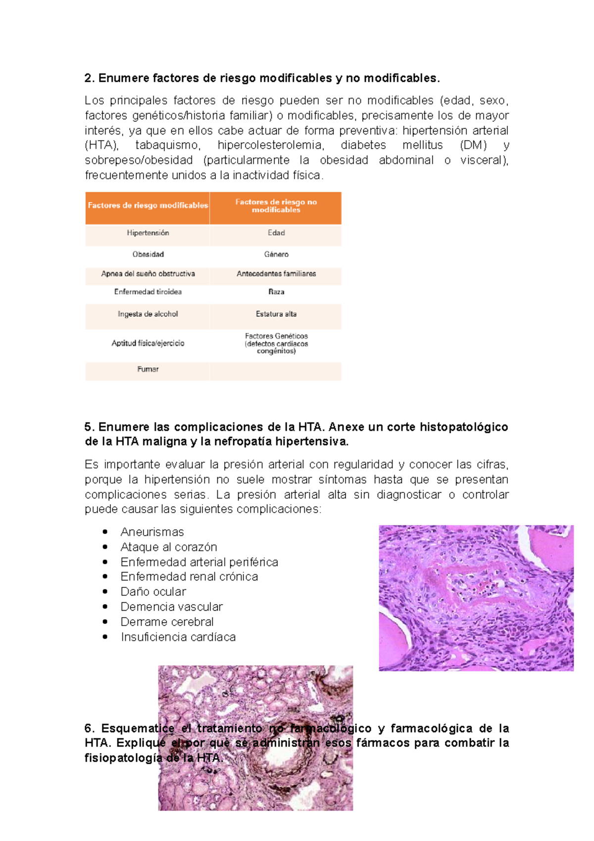 Blog - Sistema Circulatorio - Enumere factores de riesgo modificables y ...