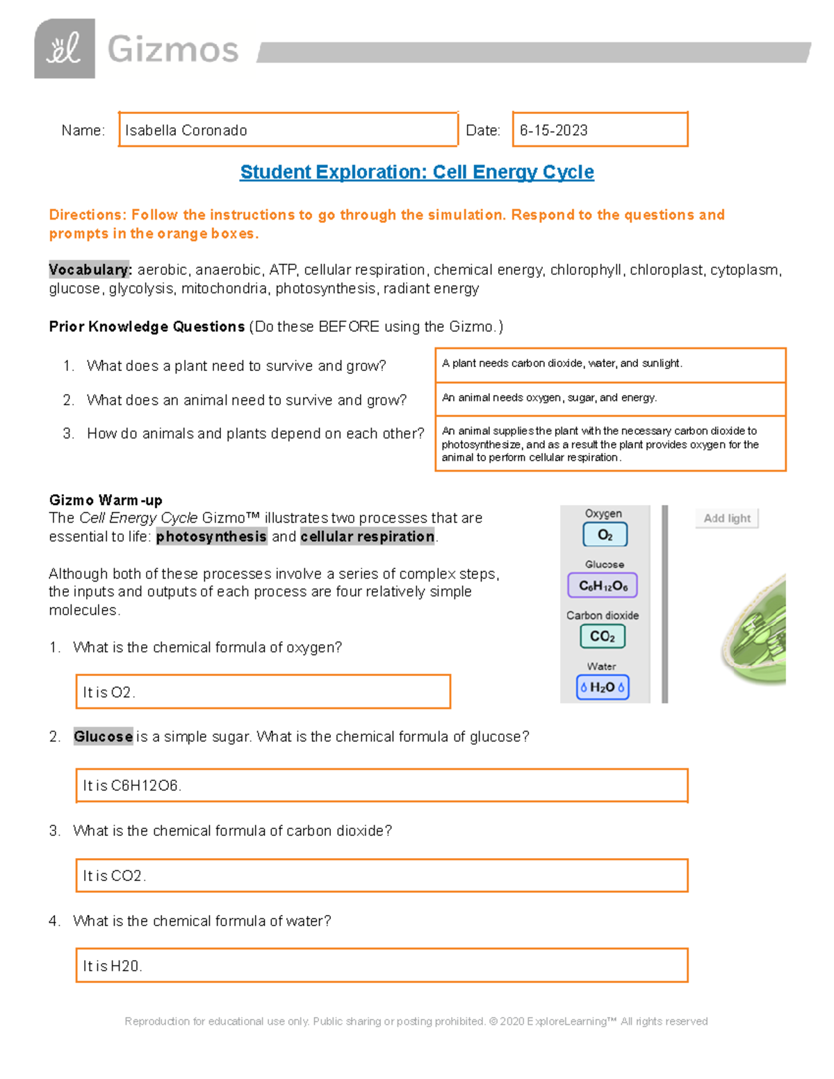 Cell Energy Gizmos - Name: Isabella Coronado Date: 6-15- Student ...