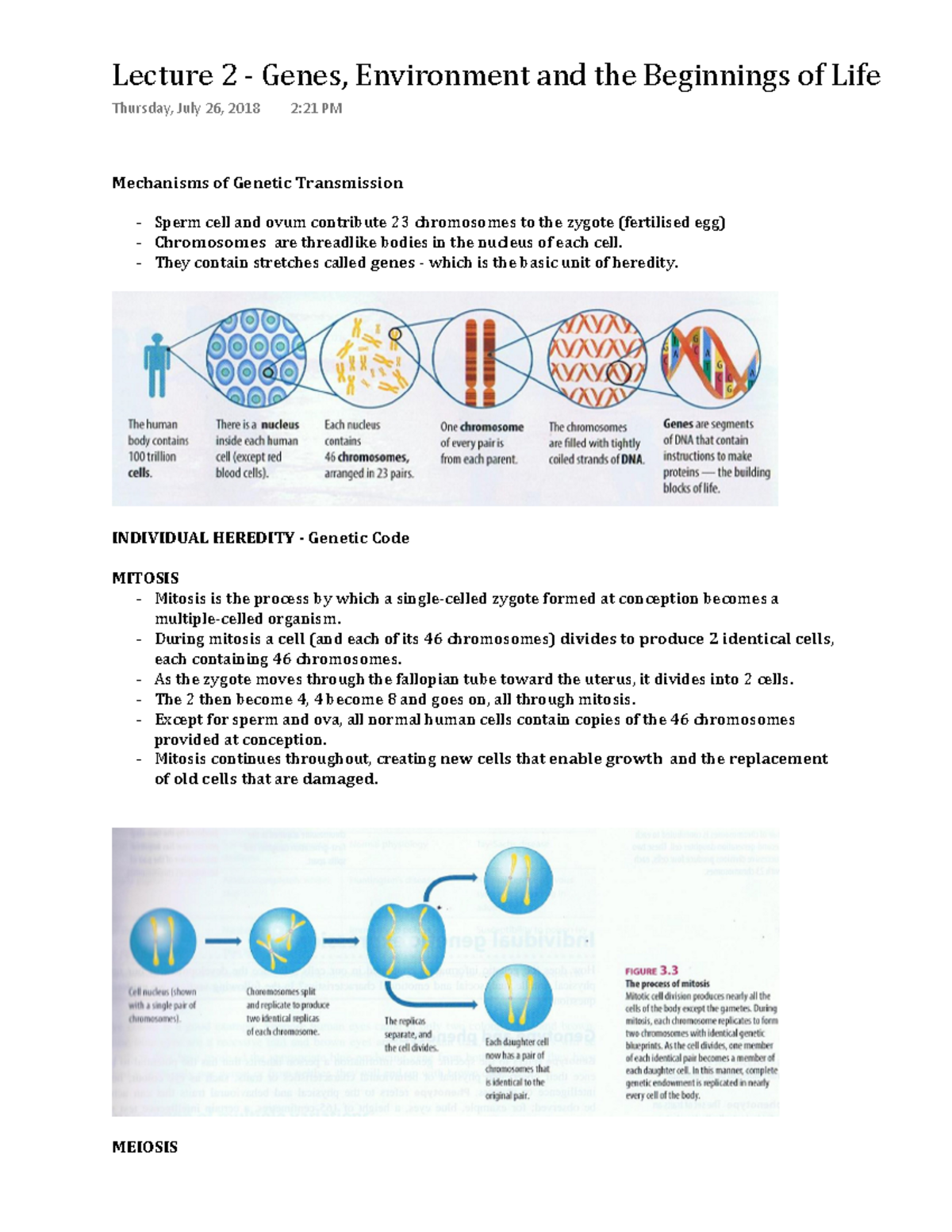 genes environment - Lecture 2 - Genes, Environment and the Beginnings ...