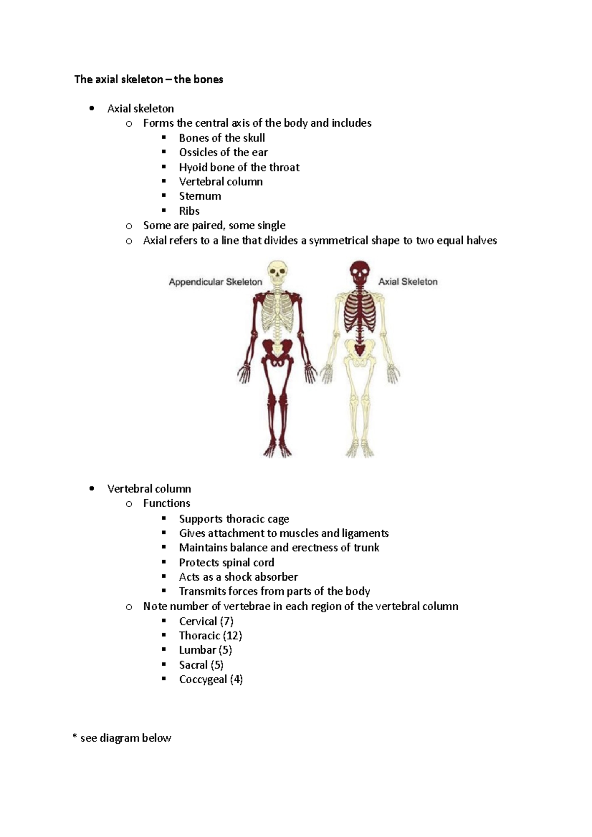 Axial Skeleton - The axial skeleton – the bones Axial skeleton o Forms ...