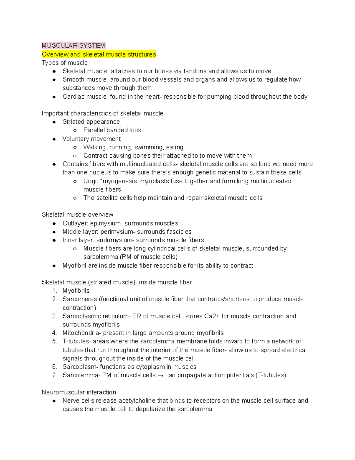 muscular system - MUSCULAR SYSTEM Overview and skeletal muscle structures Types of muscle ...