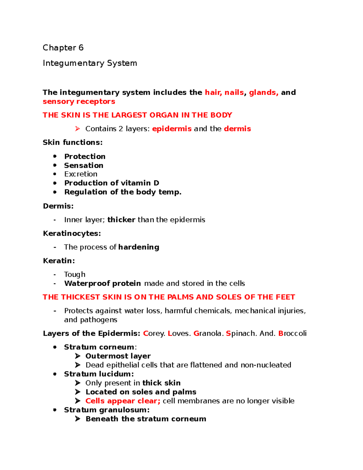 Ch.6 Integumentary System - Chapter 6 Integumentary System The ...