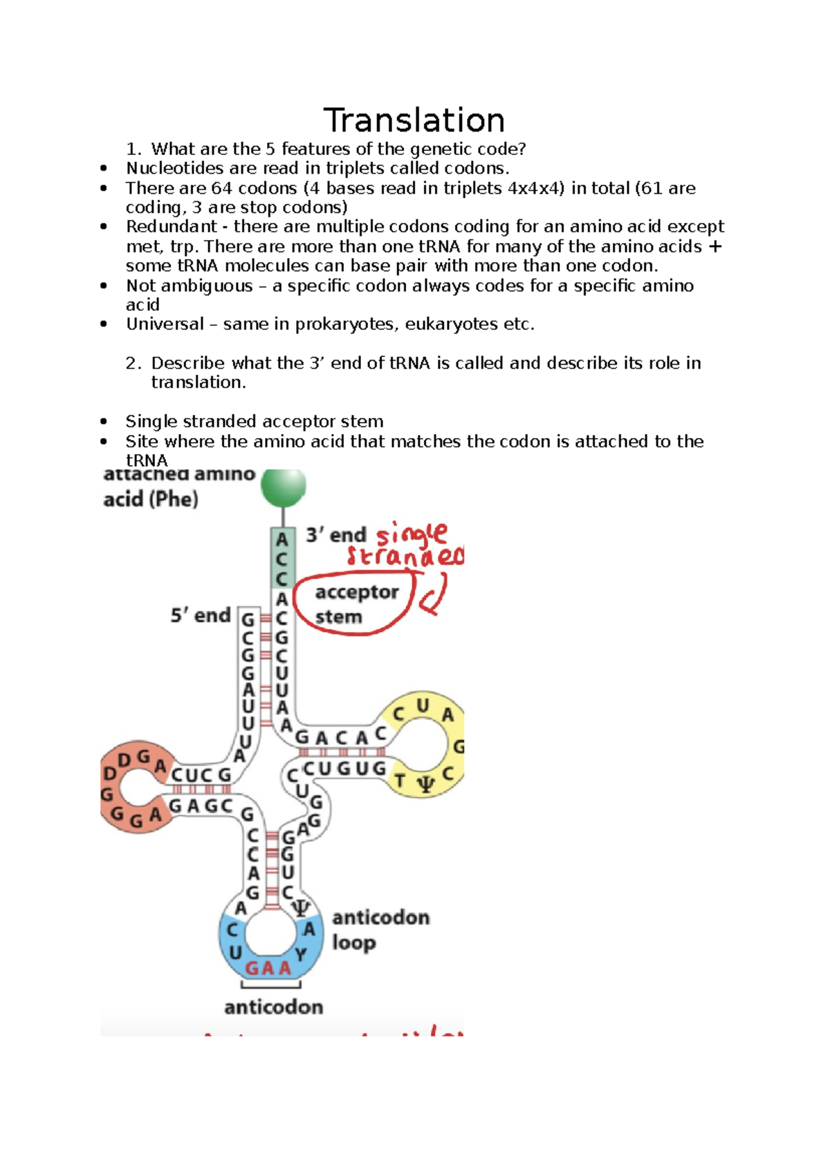 Week 6 Translation Questions and Answer Notes Genetics BMD164/BIO163 ...