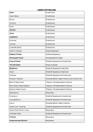 Respiratory System - Conducting Portion – where air only passes 2 ...