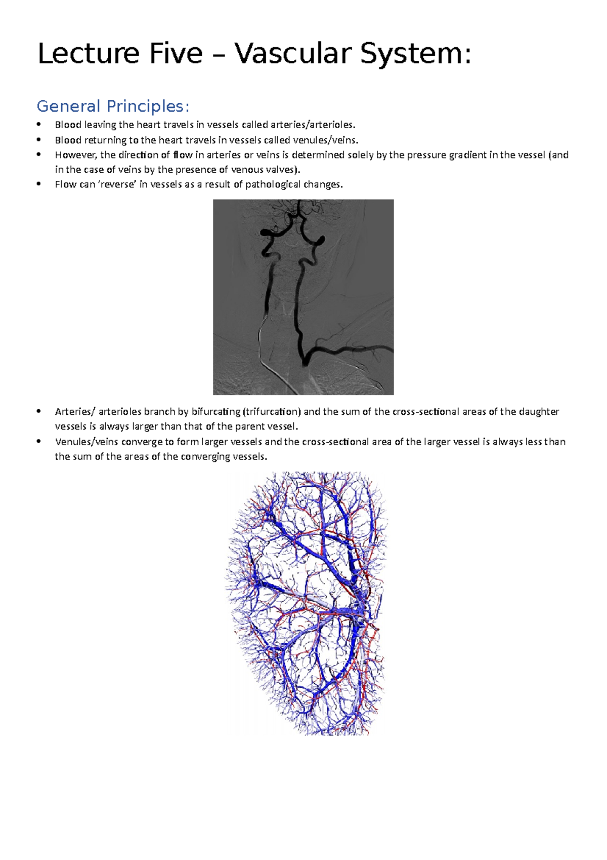 Lecture 5 - vascular system - Lecture Five Vascular System: General ...