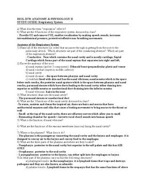 08-the brain (study guide) - BIOL 1270: ANATOMY & PHYSIOLOGY STUDY ...