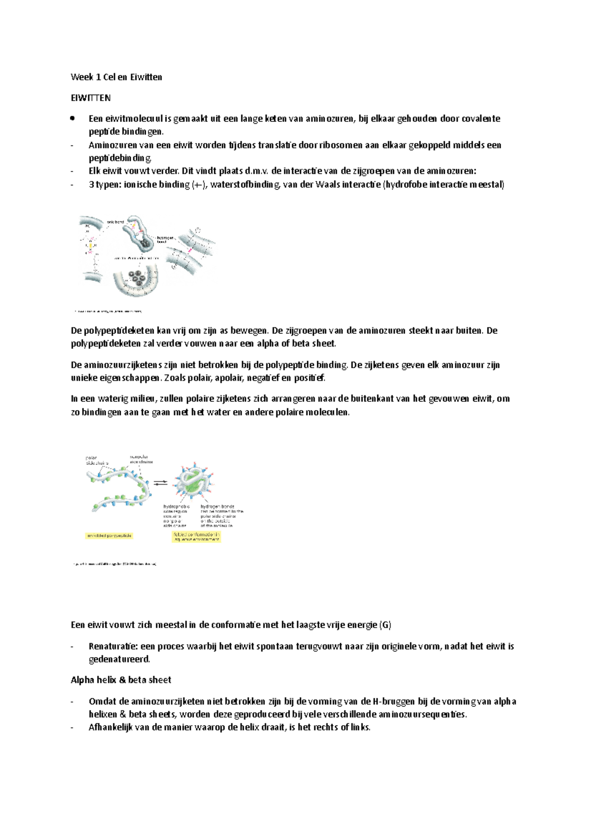Week 1 Cel en Eiwitten - Week 1 Cel en Eiwitten EIWITTEN Een ...
