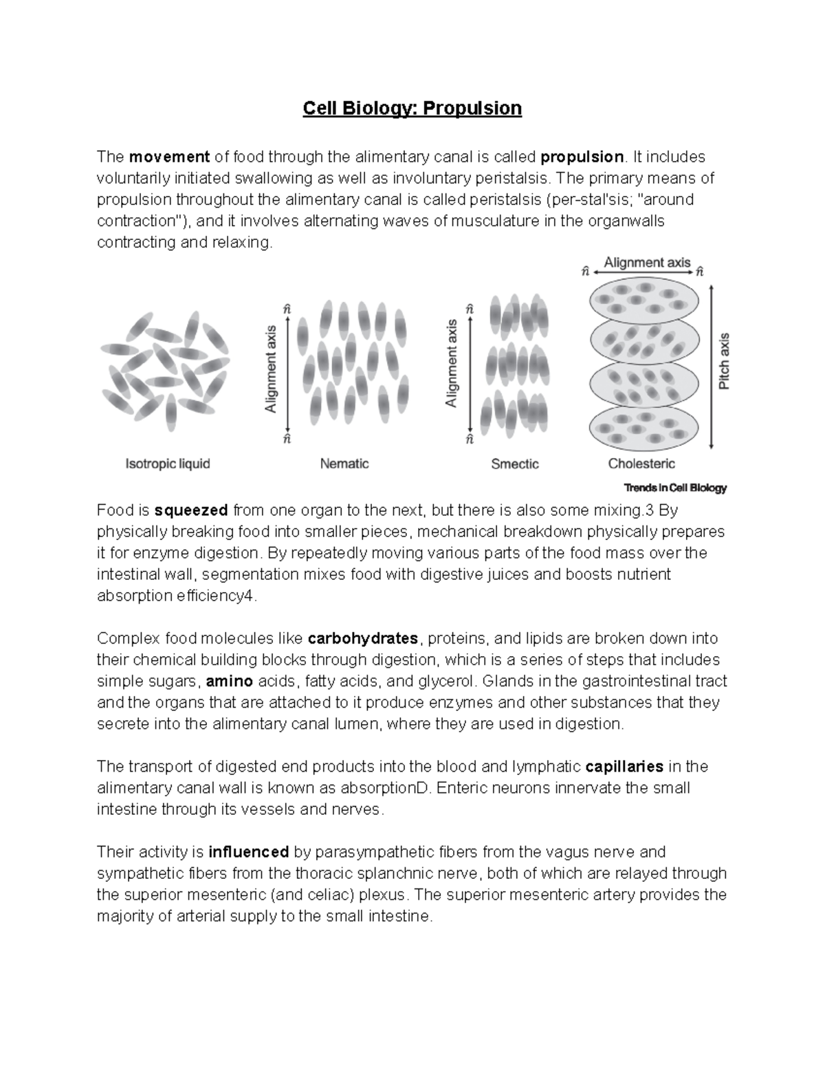 Cell Biology Propulsion - It includes voluntarily initiated swallowing ...