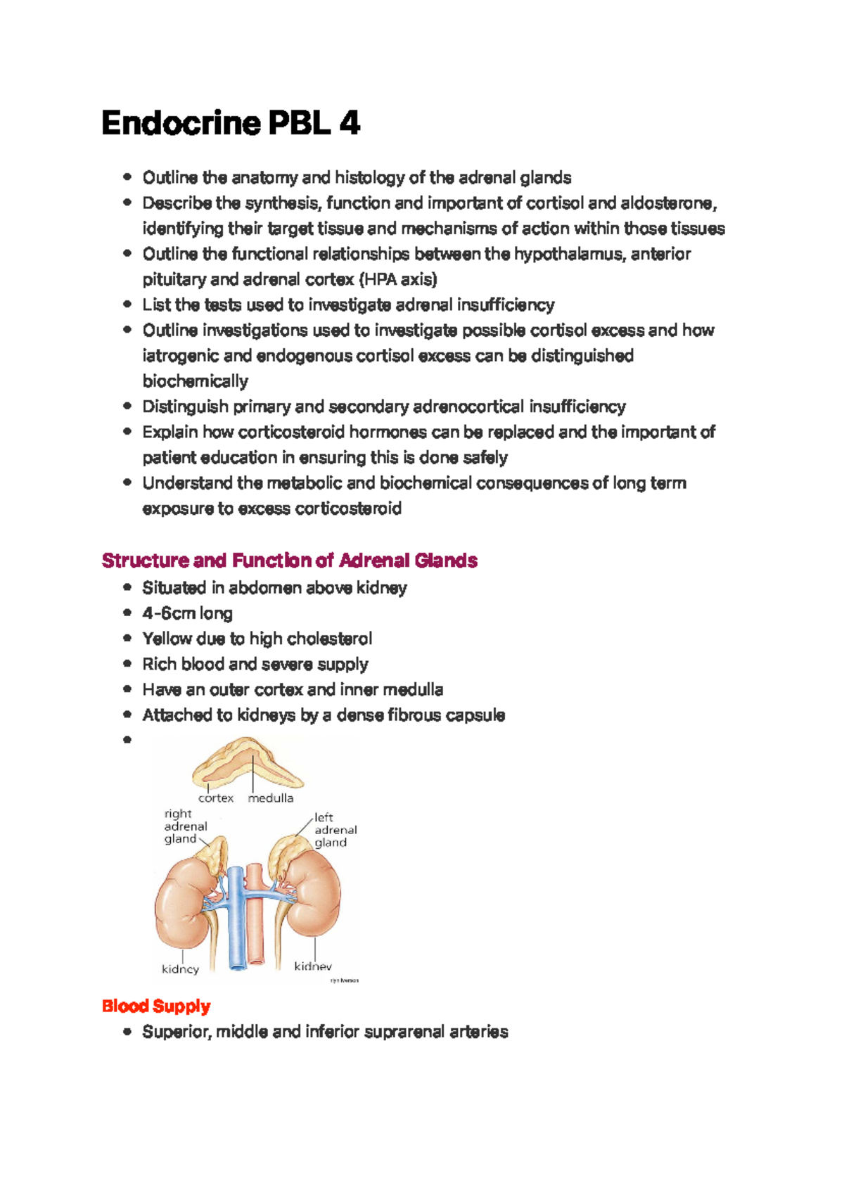Endocrine PBL 4 - E n d o c r i n e P B L 4 Structure and Function of ...