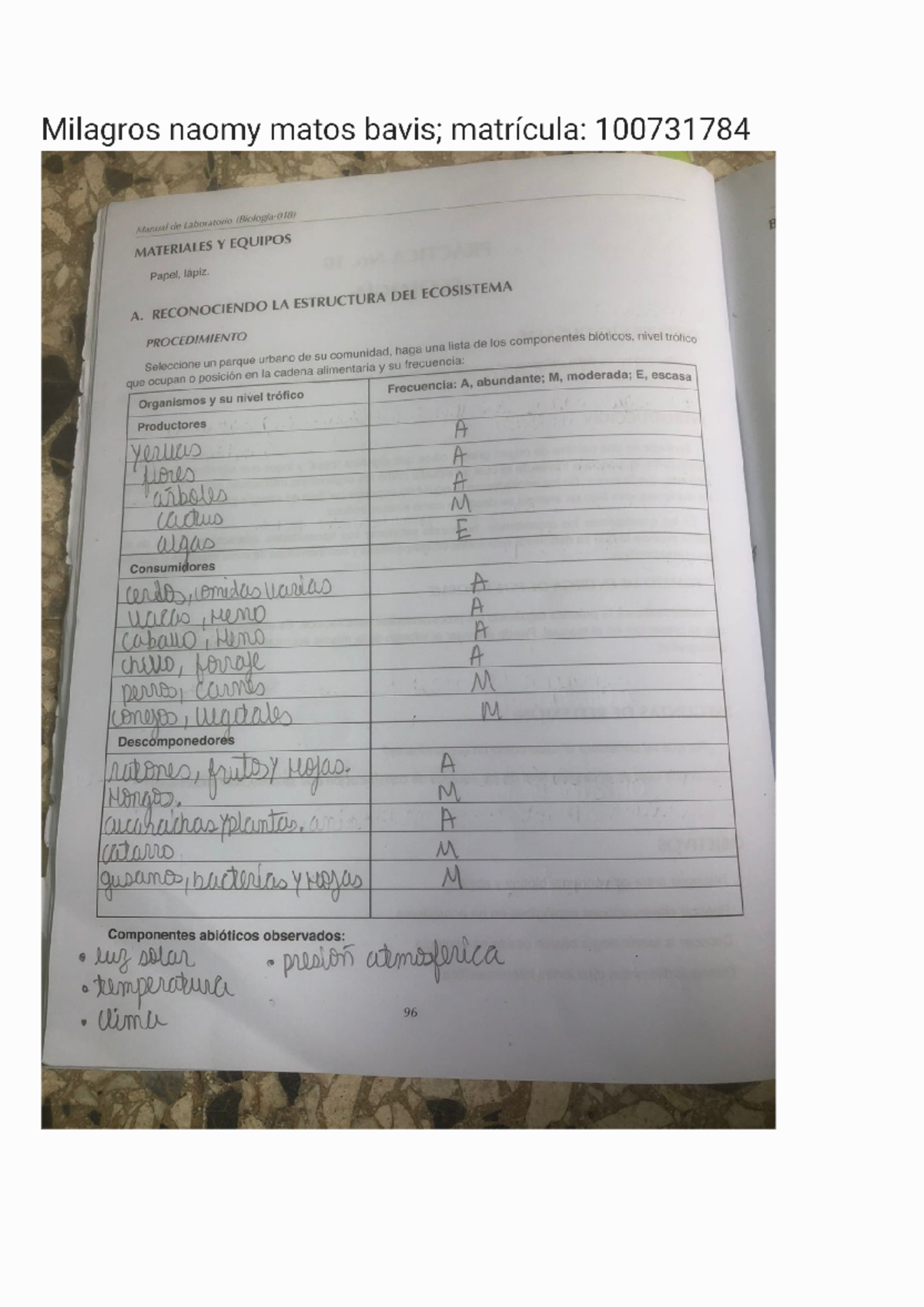 Práctica no 10 - Trabajo de biología obligatoria - Milagros naomy matos ...