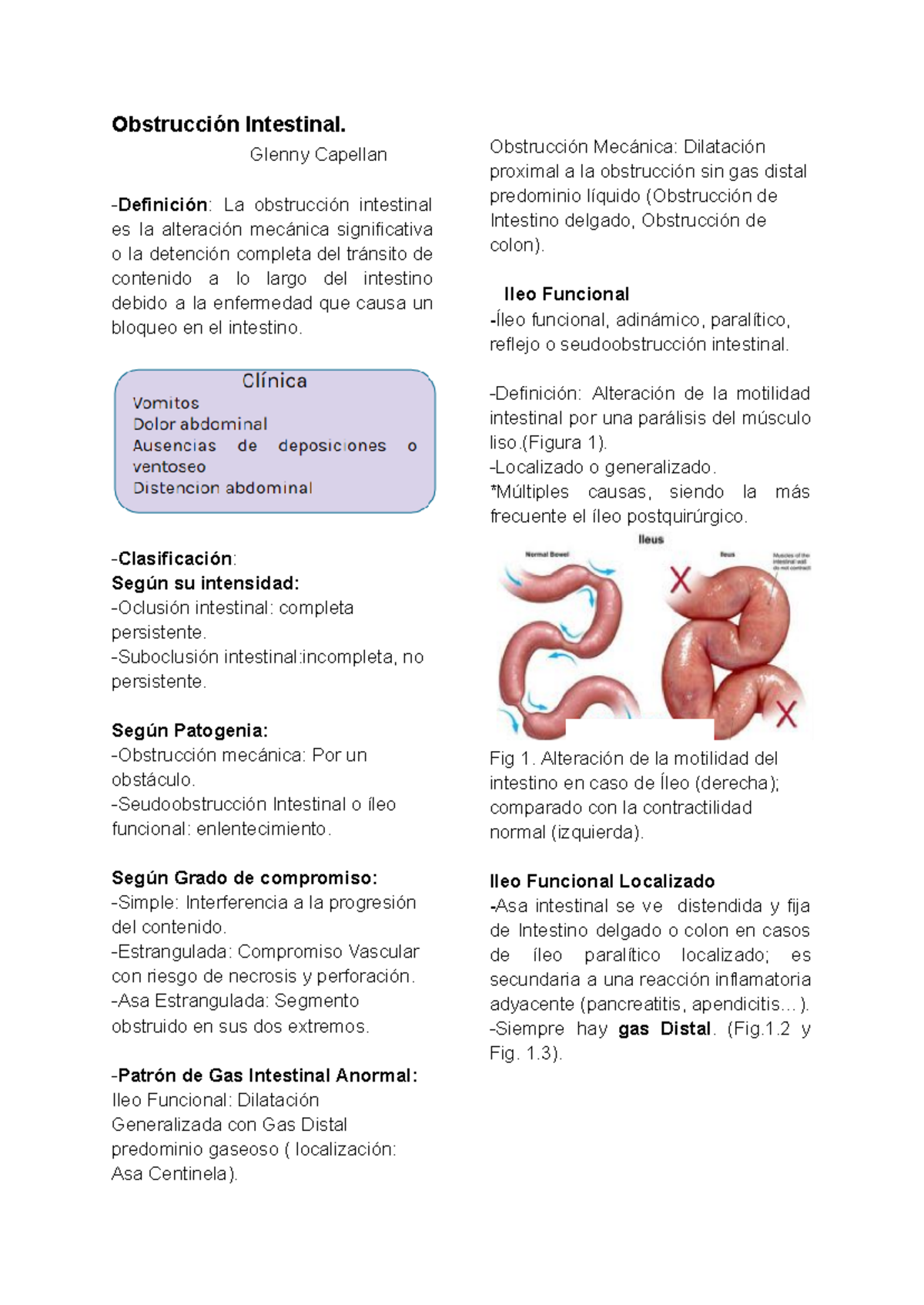 Obstruccion intestinal - Obstrucción Intestinal. Glenny Capellan ...