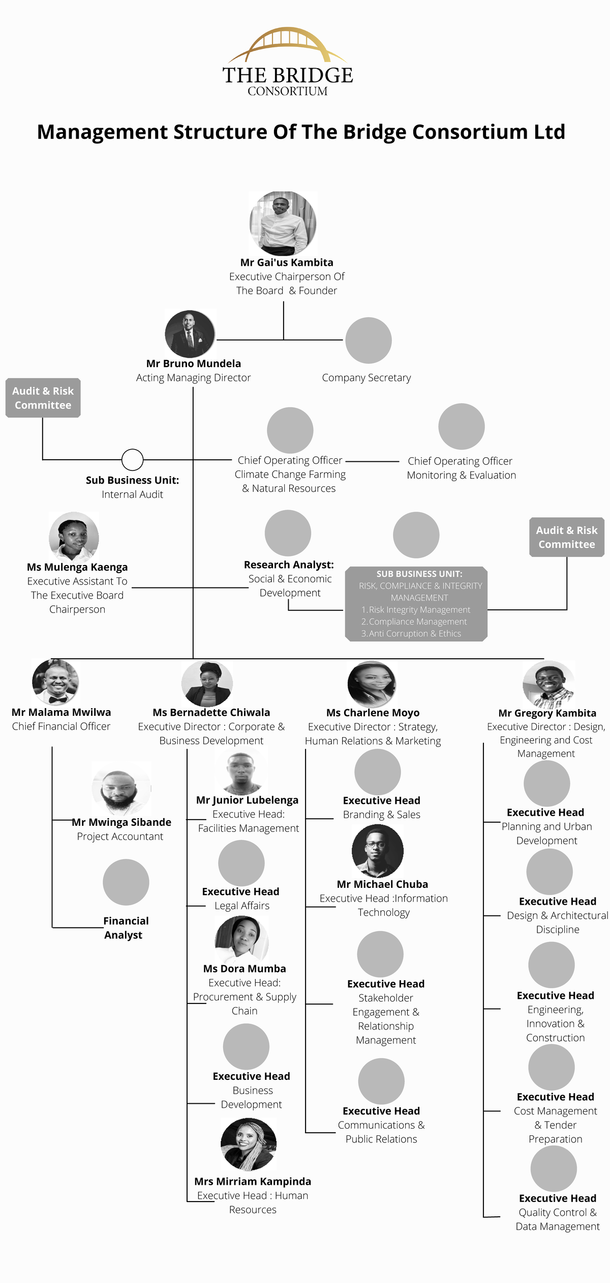Management Structure Of The Bridge Consortium Ltd - Research Analyst ...