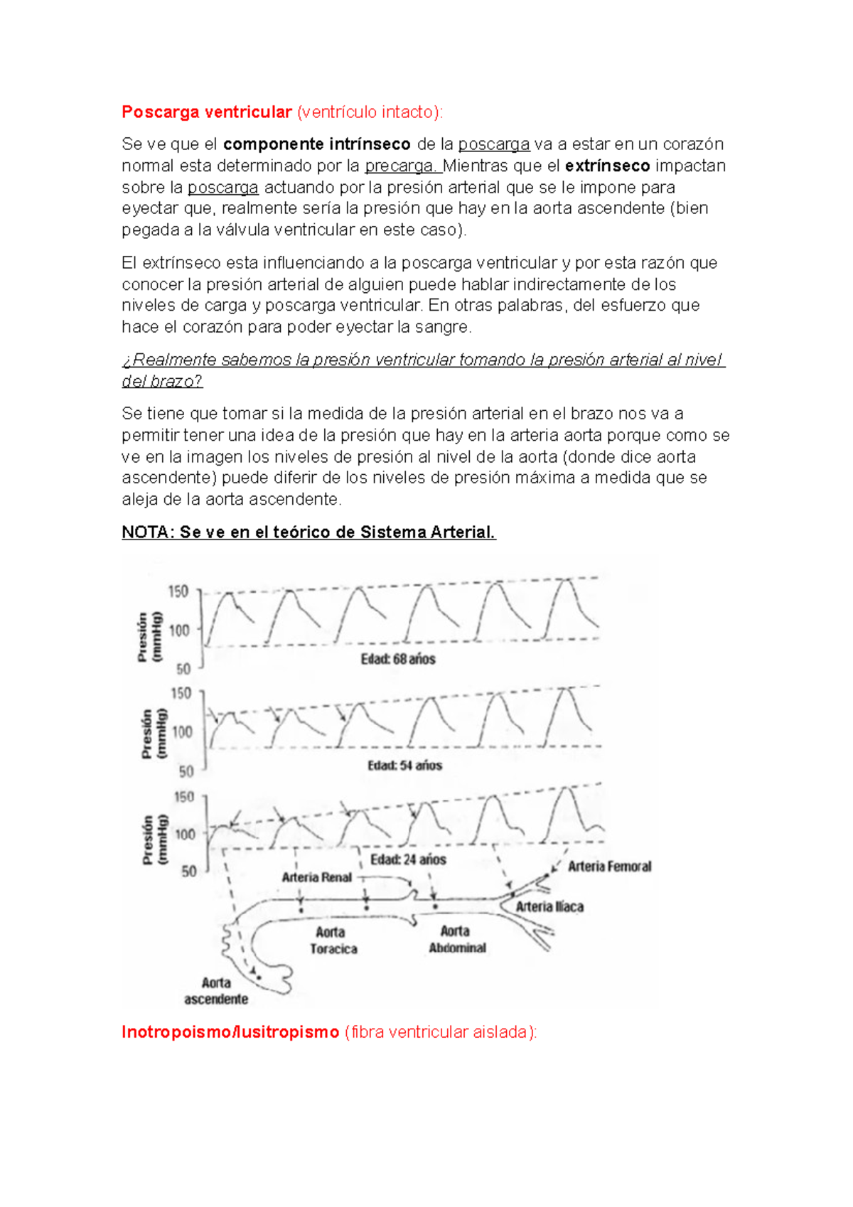 03-Ciclo cardíaco y función ventricular Video 5 Y 6 - Poscarga ...