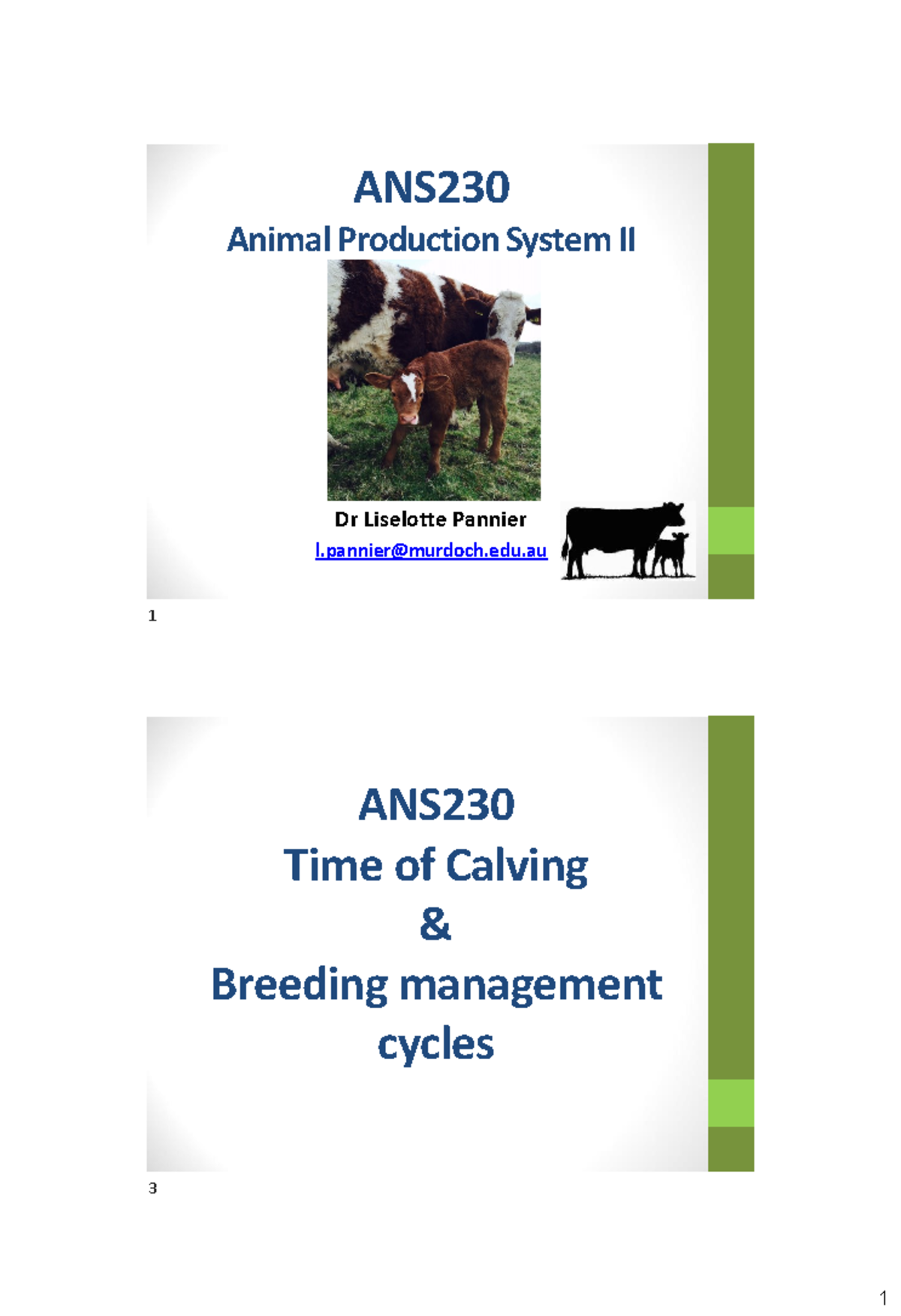 L7 Time of calving management cycles 2023 LPStudent - ANS Animal ...