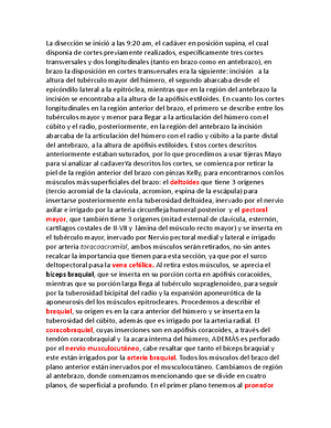 Urotrauma-JU - Material de repaso en 2018 - Urotrauma: AUA Guideline ...