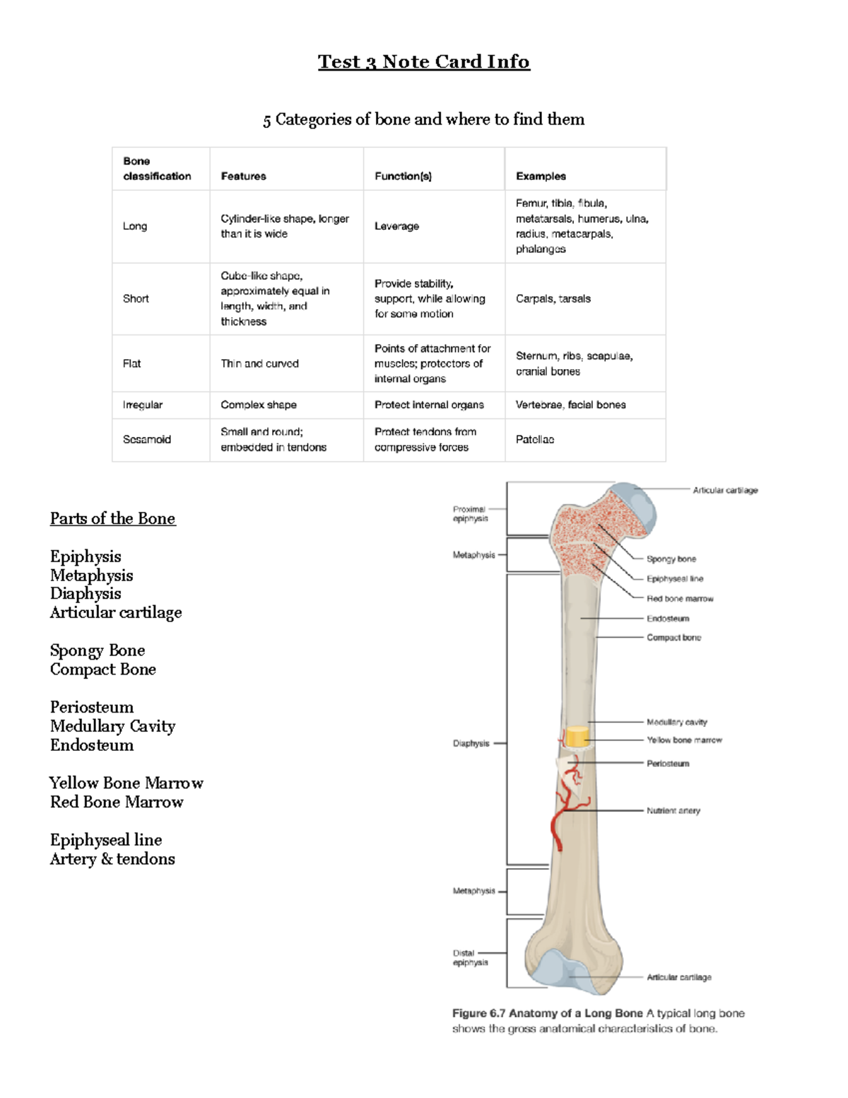 Test 3 Note Cards - Test 3 Notes - Test 3 Note Card Info 5 Categories ...