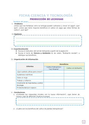 Actividad DE Aprendizaje N° 224 COMU - 09 octubre Leemos LA Importancia ...