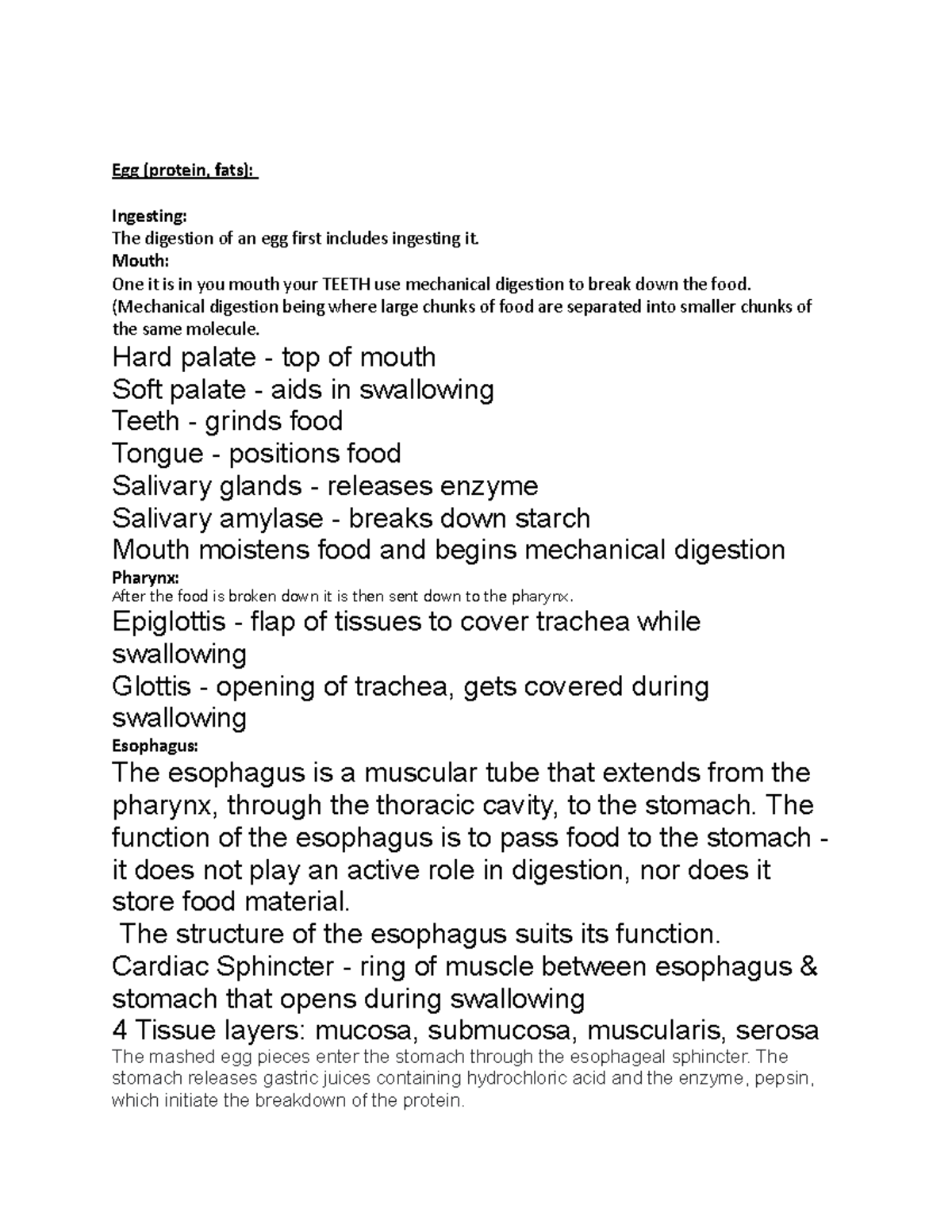 Egg - assignment notes - Egg (protein, fats): Ingesting: The digestion ...