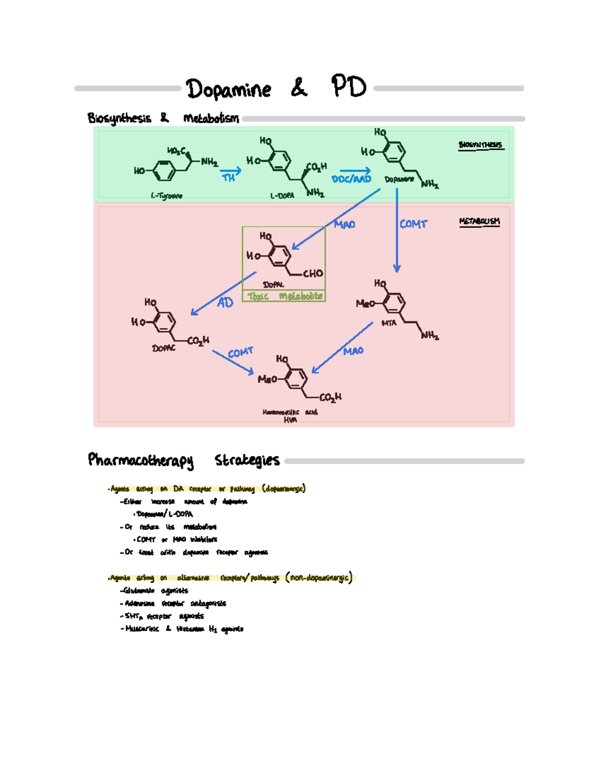 Dopamine & PD med chem - Dopamine PD Biosynthesis Metabolism HO HO ...