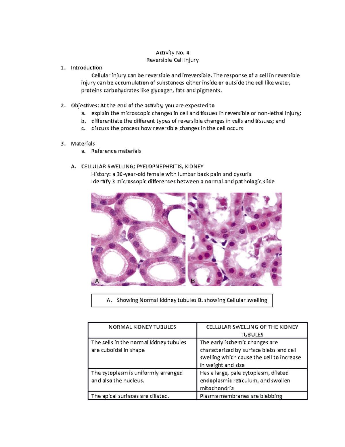 Activity 4 Reversible Cell Injury - Activity No. 4 Reversible Cell ...