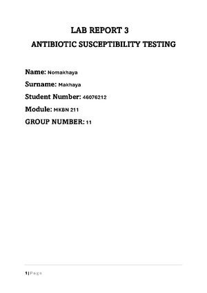 Antibiotic Resistance Lab Report Microbiology - LK. Manthata 40968138 ...