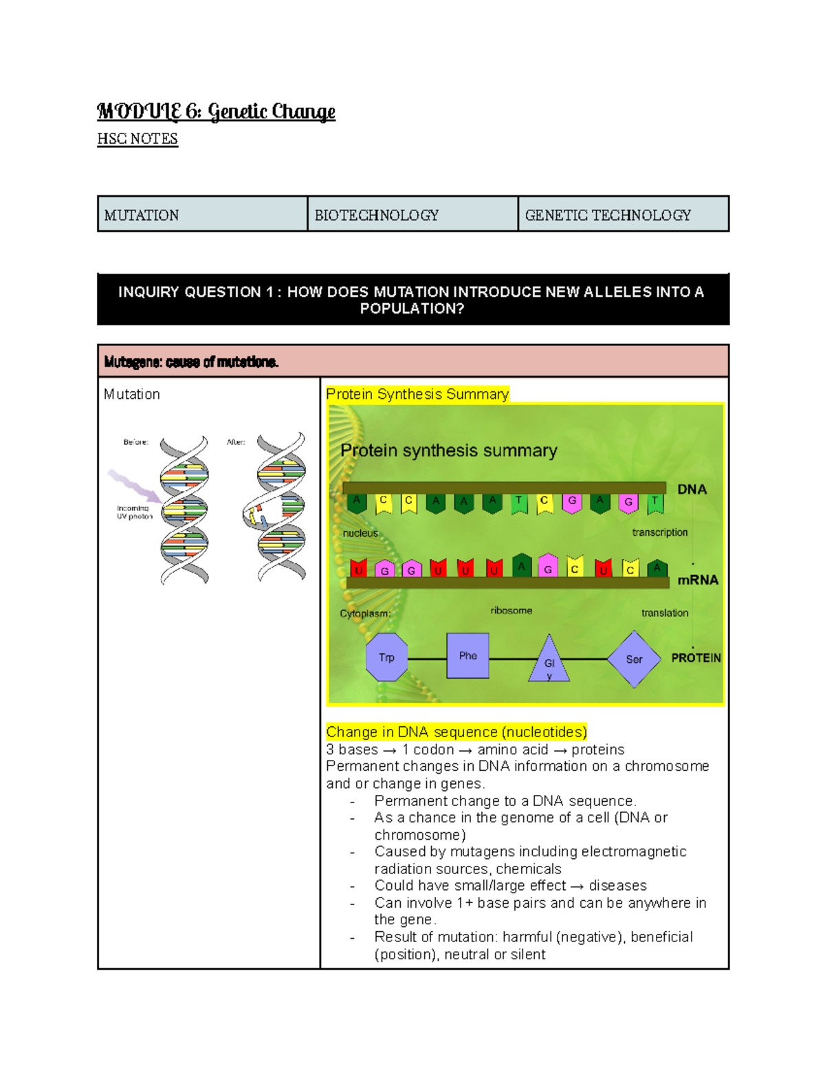 Bio mod 6 hsc - yES - MODULE 6: Geneti Chang HSC NOTES MUTATION ...