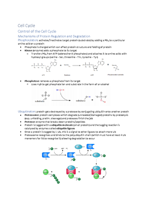 [Solved] What are roles of salmon DNA in rescue experiment of yeast ...
