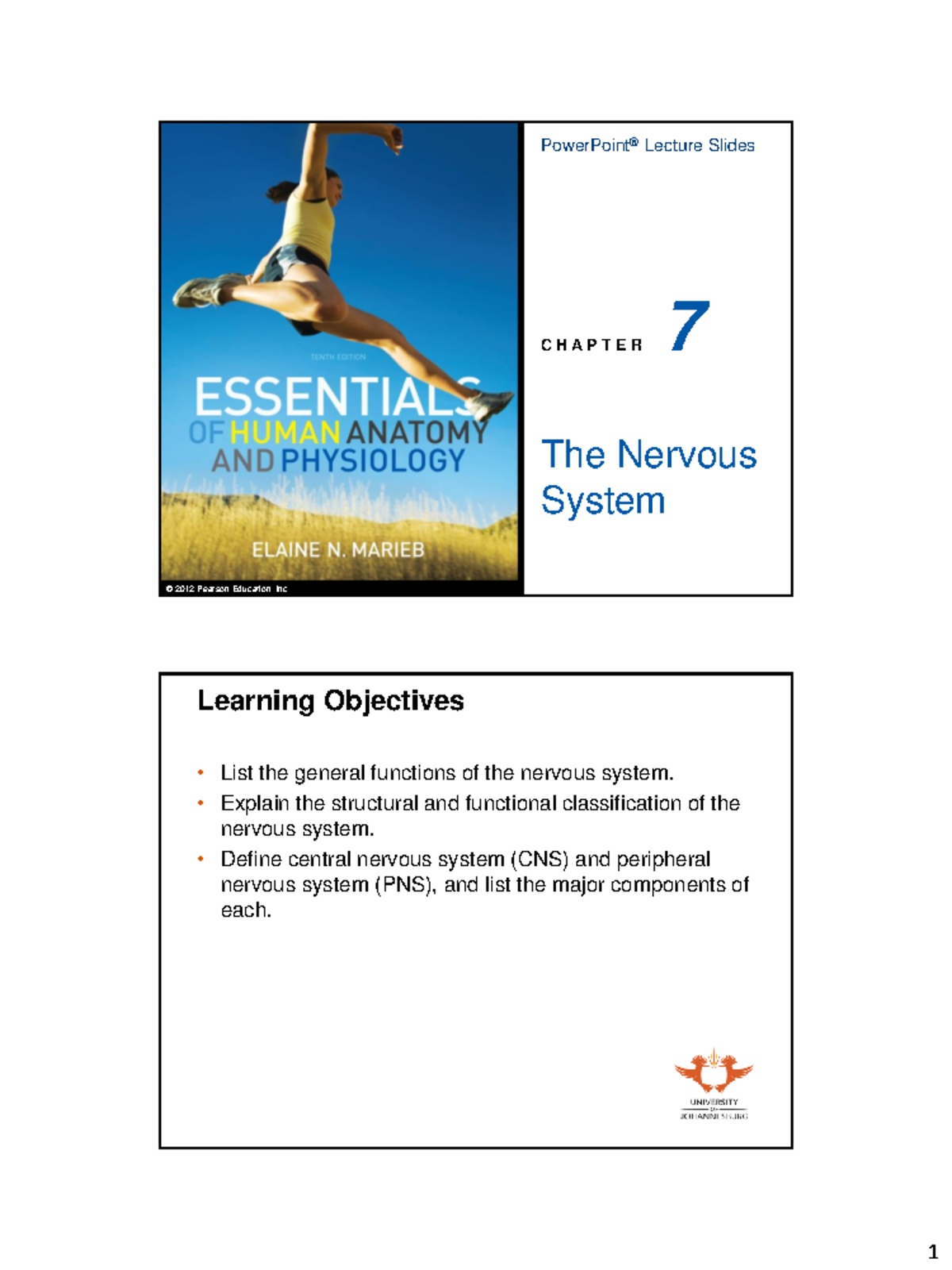 5) Nervous System Chapter 7 - © 2012 Pearson Education, Inc ...