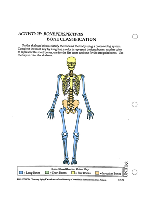 2.02 Skeletal System - Class Notes - Skeletal System Guided Notes The ...