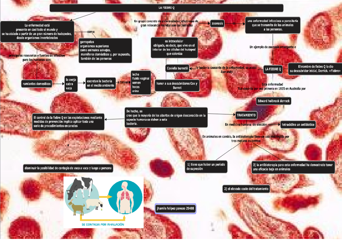 Map semio - mapa conceptual - semiologia - Studocu