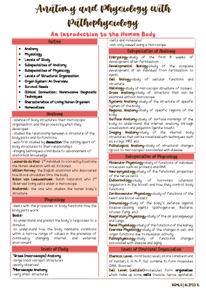 Unit 1 - Anatomy - Unit 1 Introduction to the Human Body (2 hours LEC/3 ...