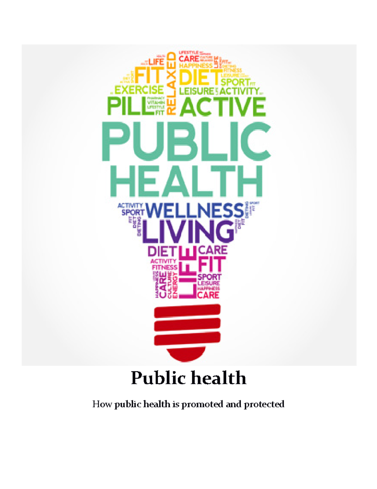 Report Title - Public health How public health is promoted and ...
