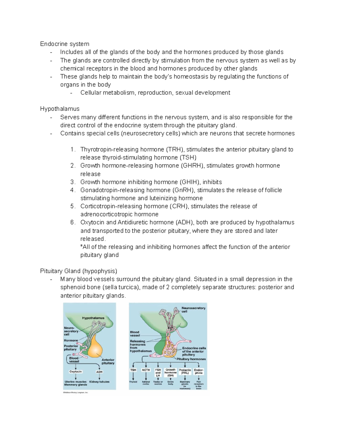 Anatomy Physiology Lab Endocrine System - Endocrine system - Includes ...
