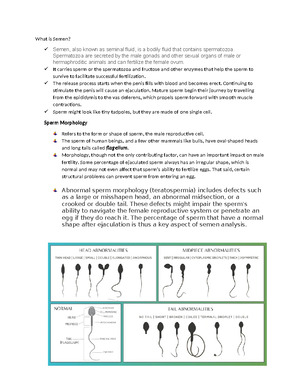 Semen Analysis - Forensic Chemistry and Toxicology – Activity Sheet ...