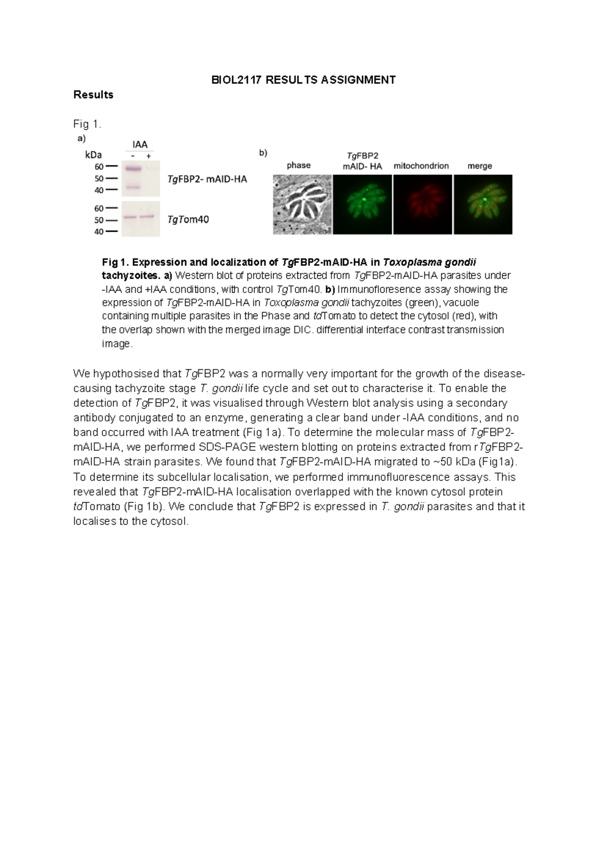 BIOL2117 Results Assignment - BIOL2117 RESULTS ASSIGNMENT Results Fig 1 ...
